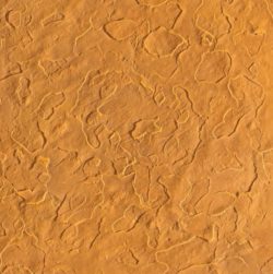 Concrete Stamp Seamless Forest Floor Package